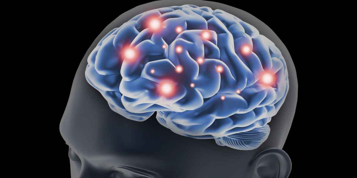 Stem Cells Restore Cognitive Abilities Impaired By Brain Tumor ...